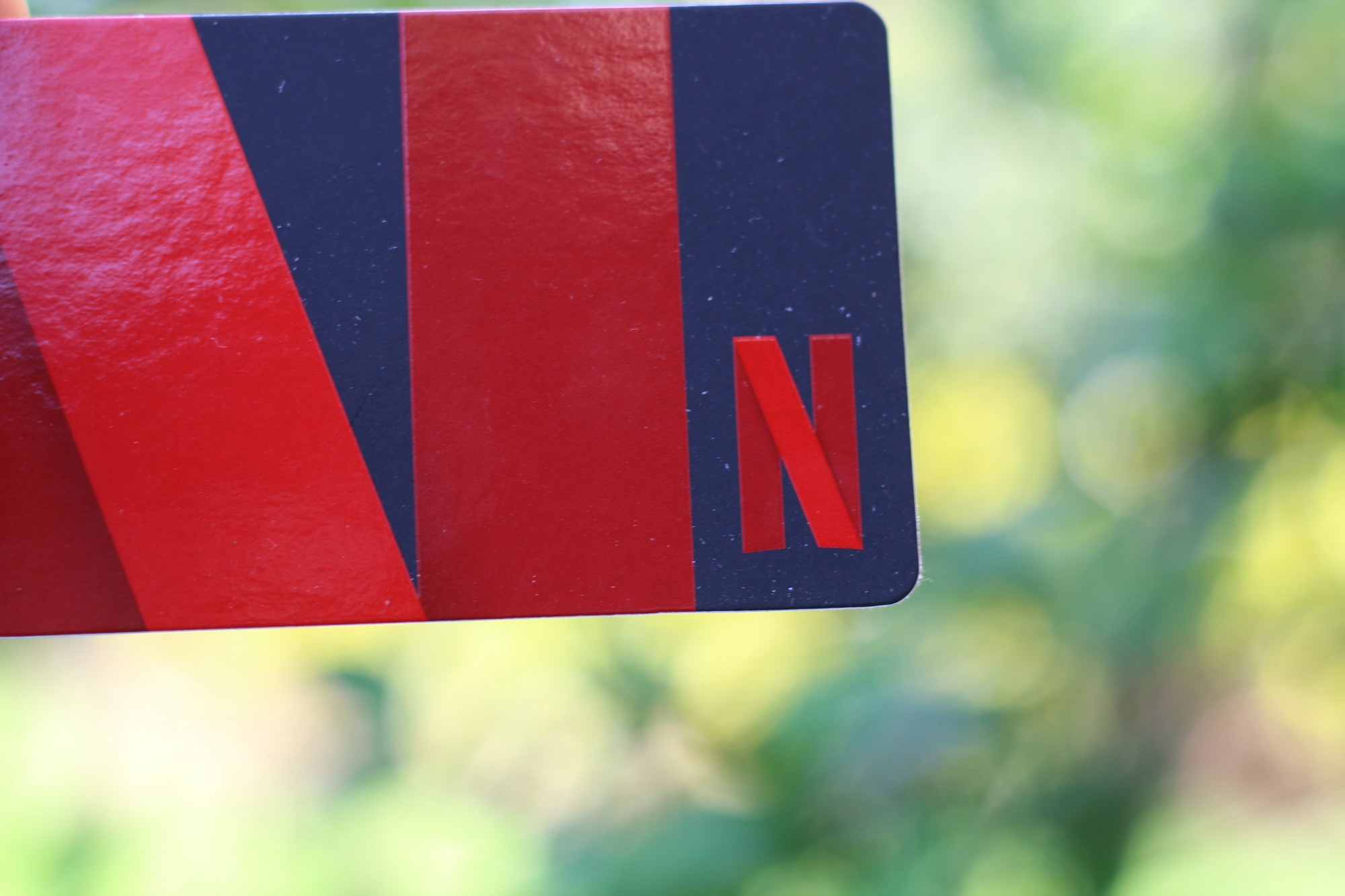 Win A Free Netflix Membership For One Month | Giveaway - Adanna Dill