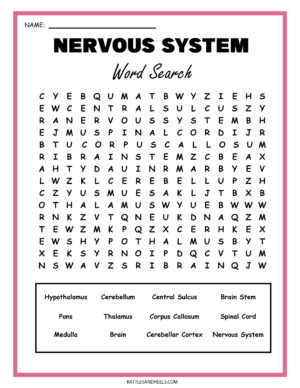 Free Science Worksheets| The Nervous System - Adanna Dill