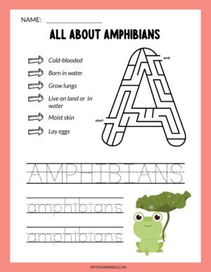 Amphibians Worksheets for Kids | Free Printables - Adanna Dill