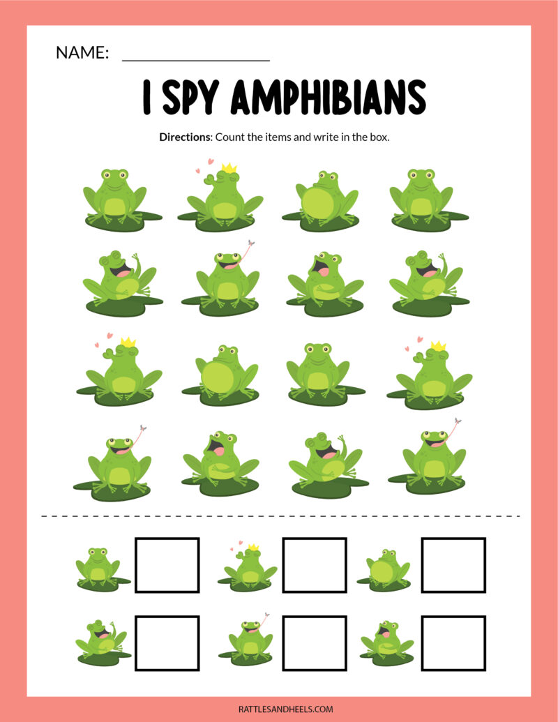 Amphibians Worksheets for Kids | Free Printables